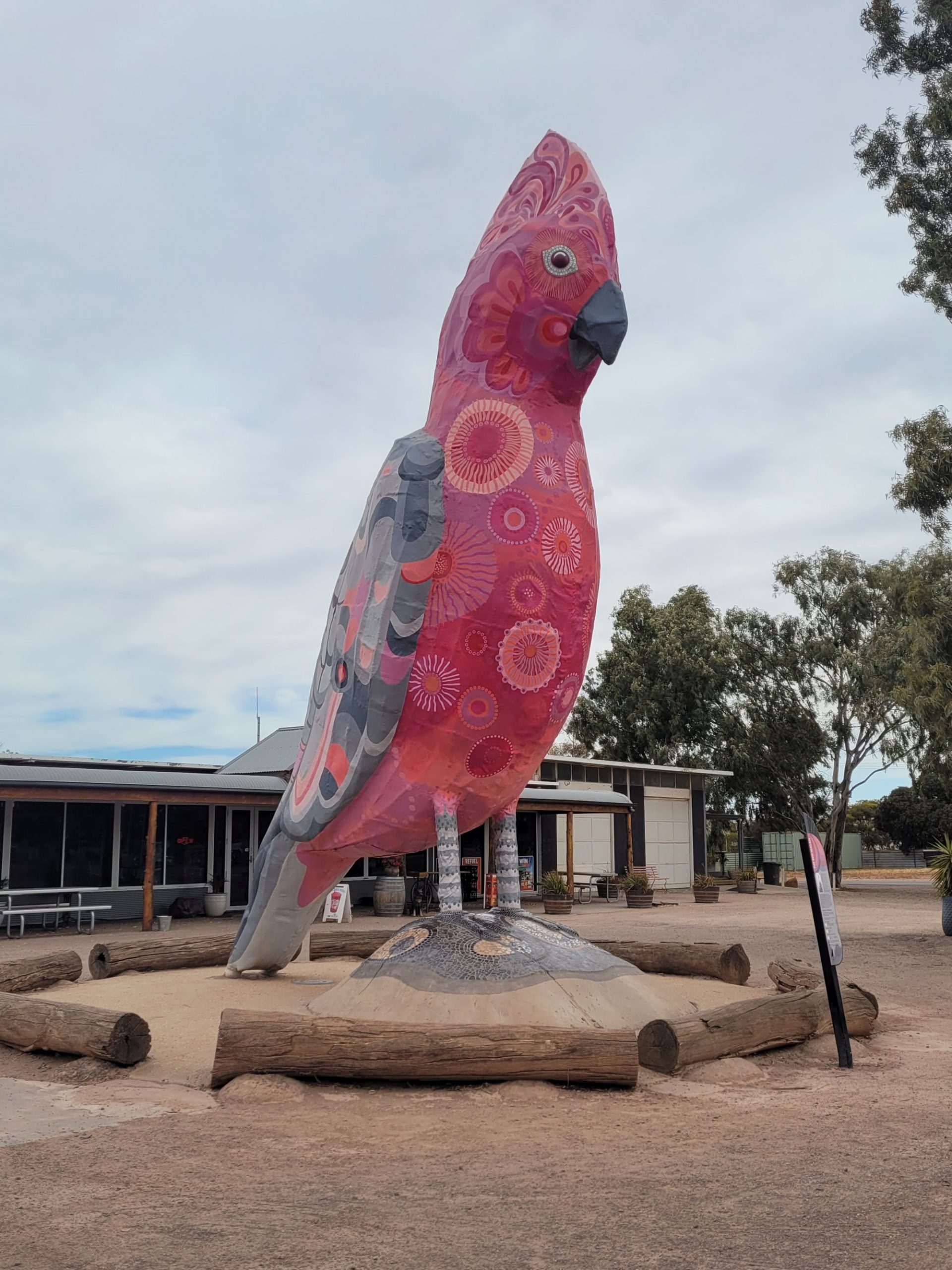 Community Museum Wrap-up for 2023 – South Australian History Network